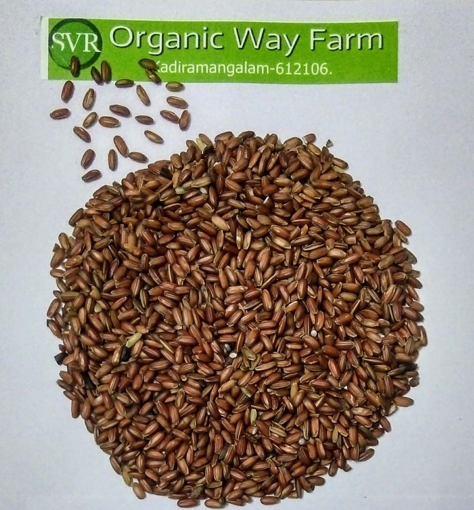 Poongar – Boiled – Brown Rice – SVR Organic Way Farm